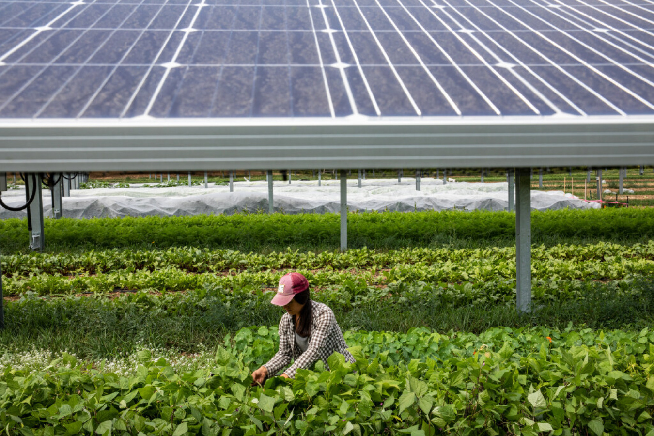 Solar for Farms in Canada (2026 Complete Guide) | MAG Solar