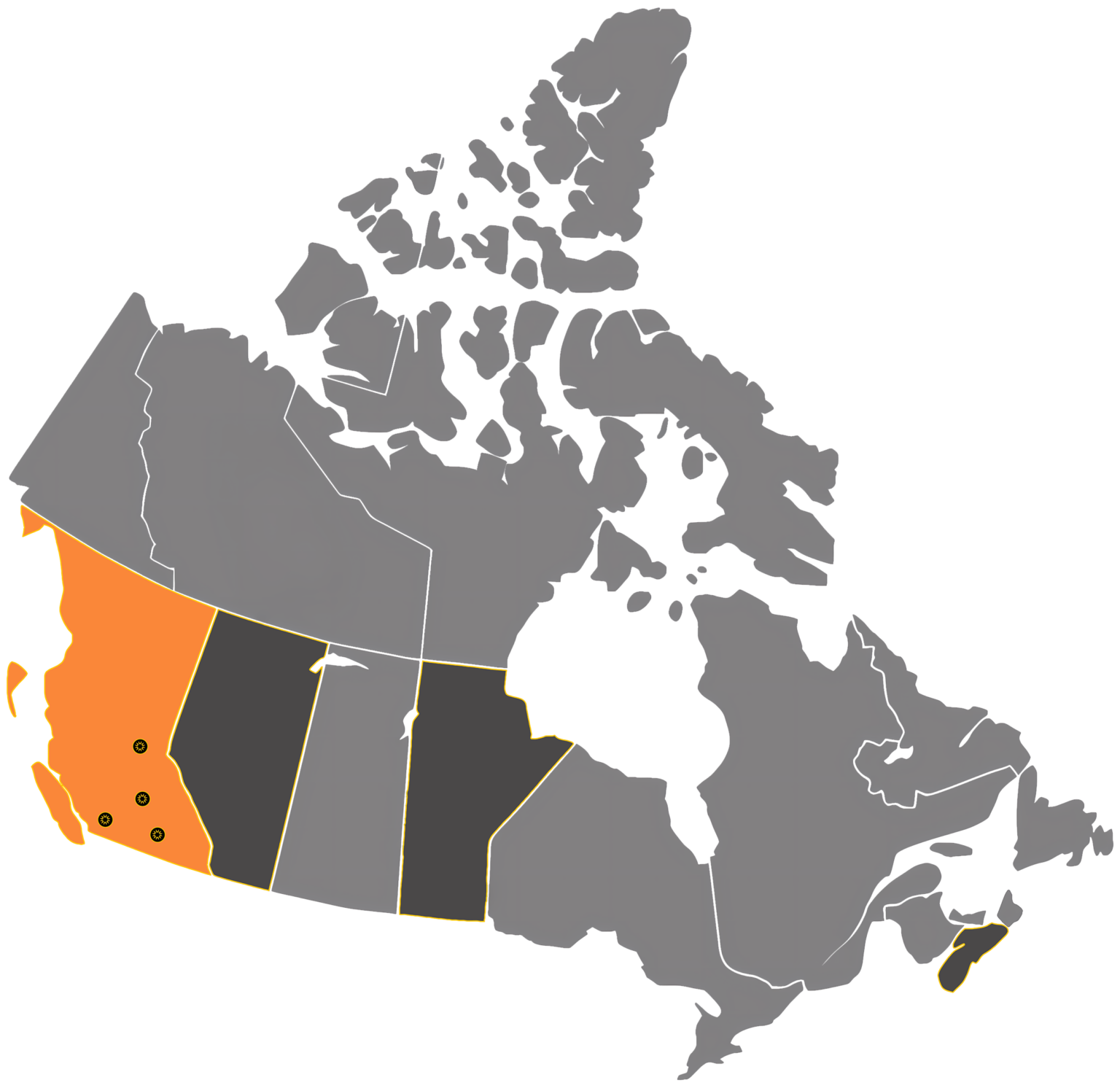 Leading Solar Panel Installation in Canada