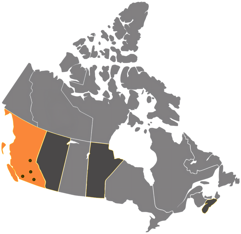 Leading Solar Panel Installation in Canada
